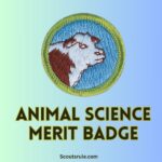 Nature Merit Badge Guide - Scouts Rule