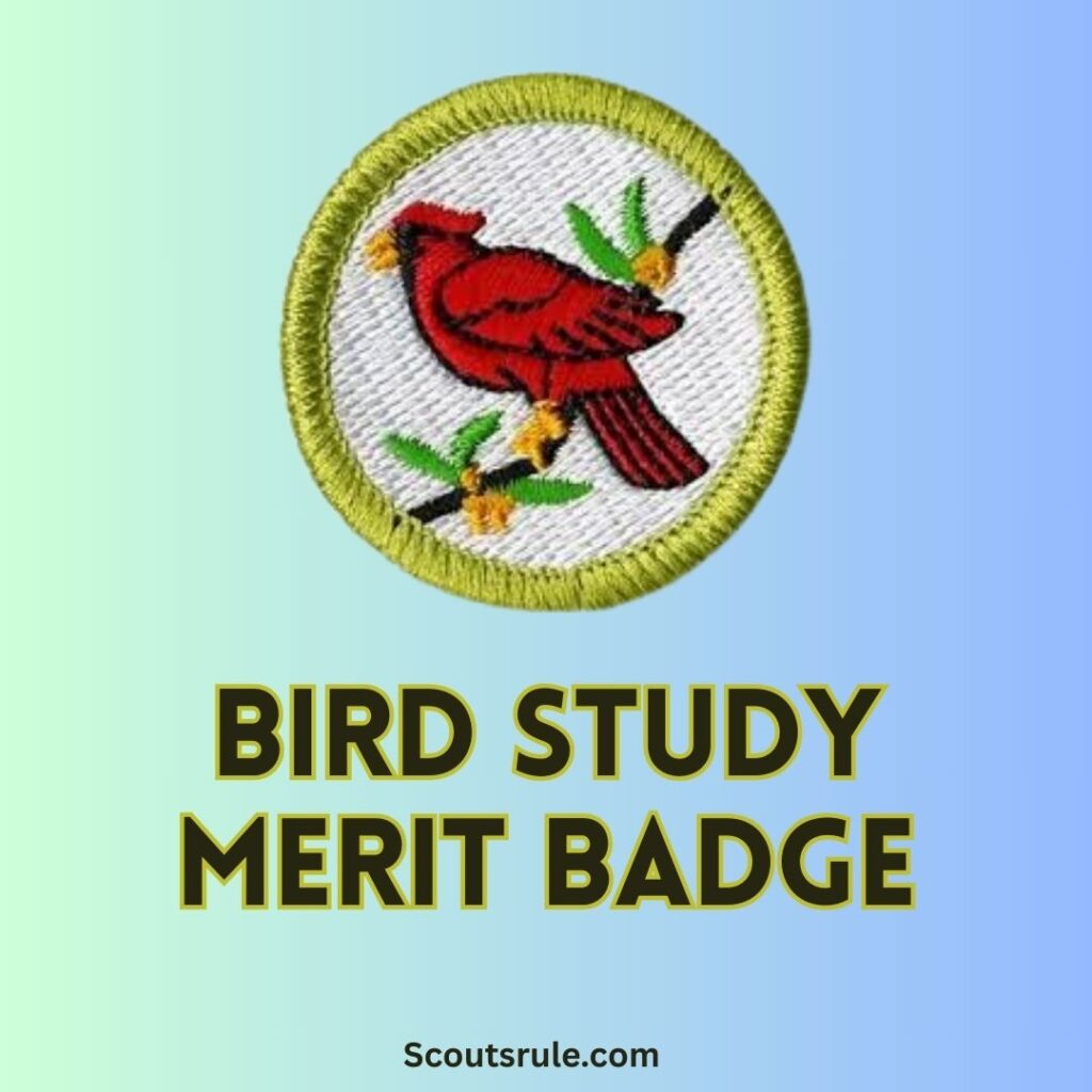 Game Design Merit Badge Guide - Scouts Rule