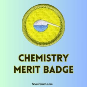 Disabilities Awareness Merit Badge Guide - Scouts Rule