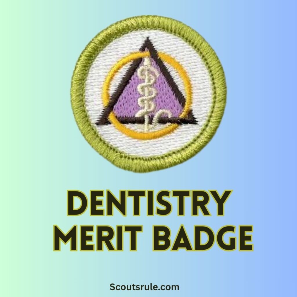 Engineering Merit Badge Guide - Scouts Rule