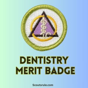 Engineering Merit Badge Guide - Scouts Rule