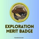 Pulp and Paper Merit Badge Guide - Scouts Rule