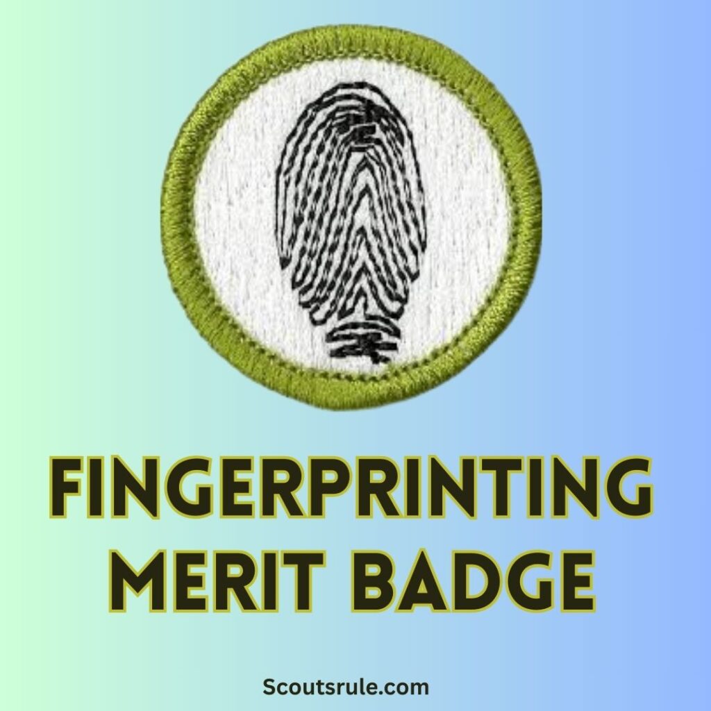 Collections Merit Badge Guide - Scouts Rule