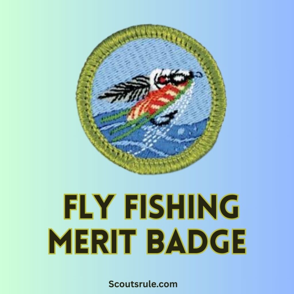 Disabilities Awareness Merit Badge Guide - Scouts Rule