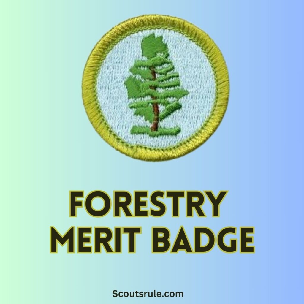 Signs Signals and Codes Merit Badge Guide - Scouts Rule