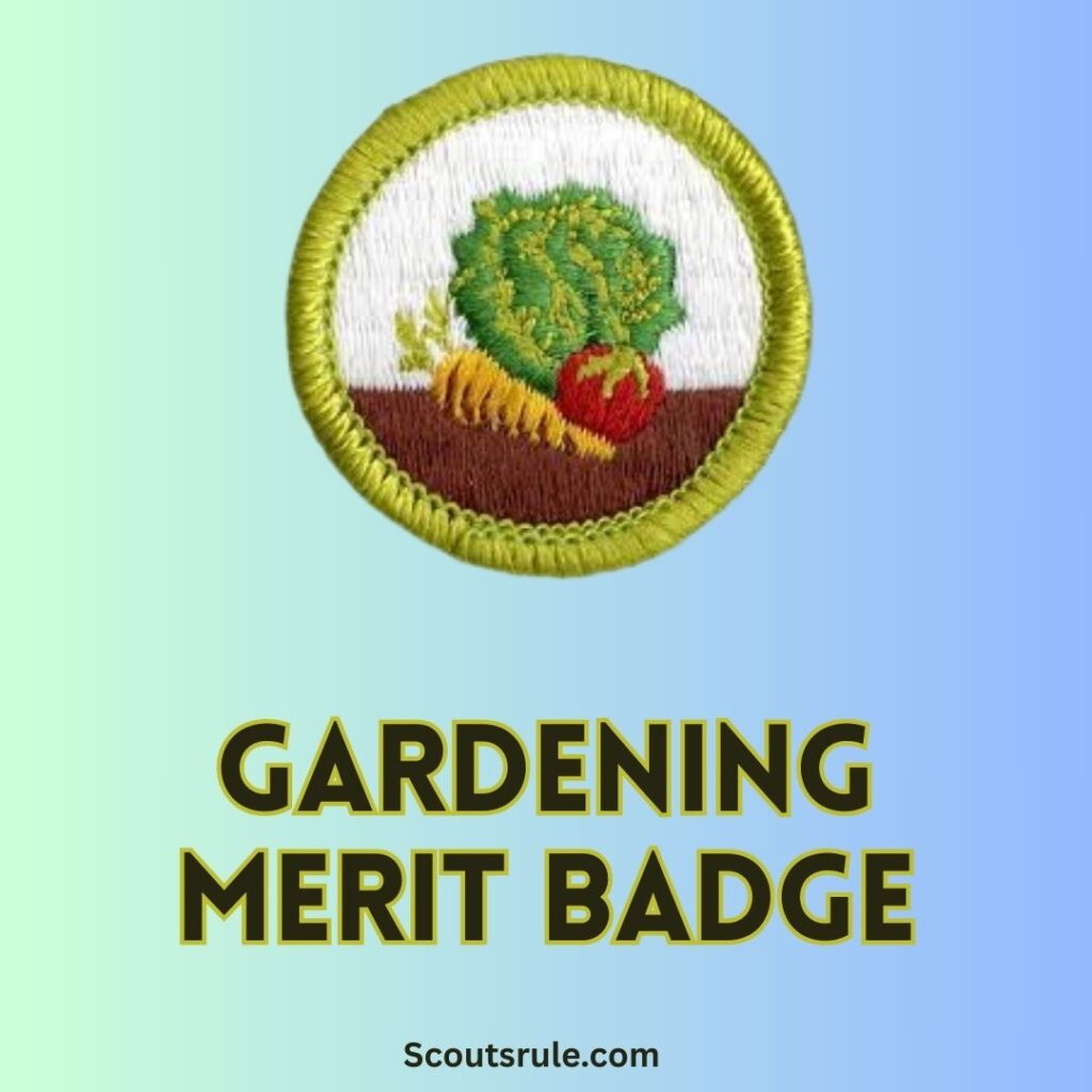 Engineering Merit Badge Guide - Scouts Rule