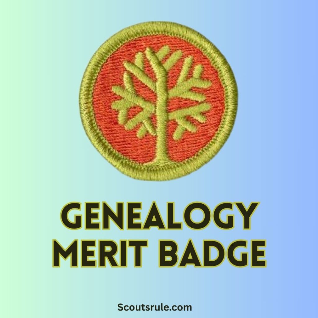 Engineering Merit Badge Guide - Scouts Rule