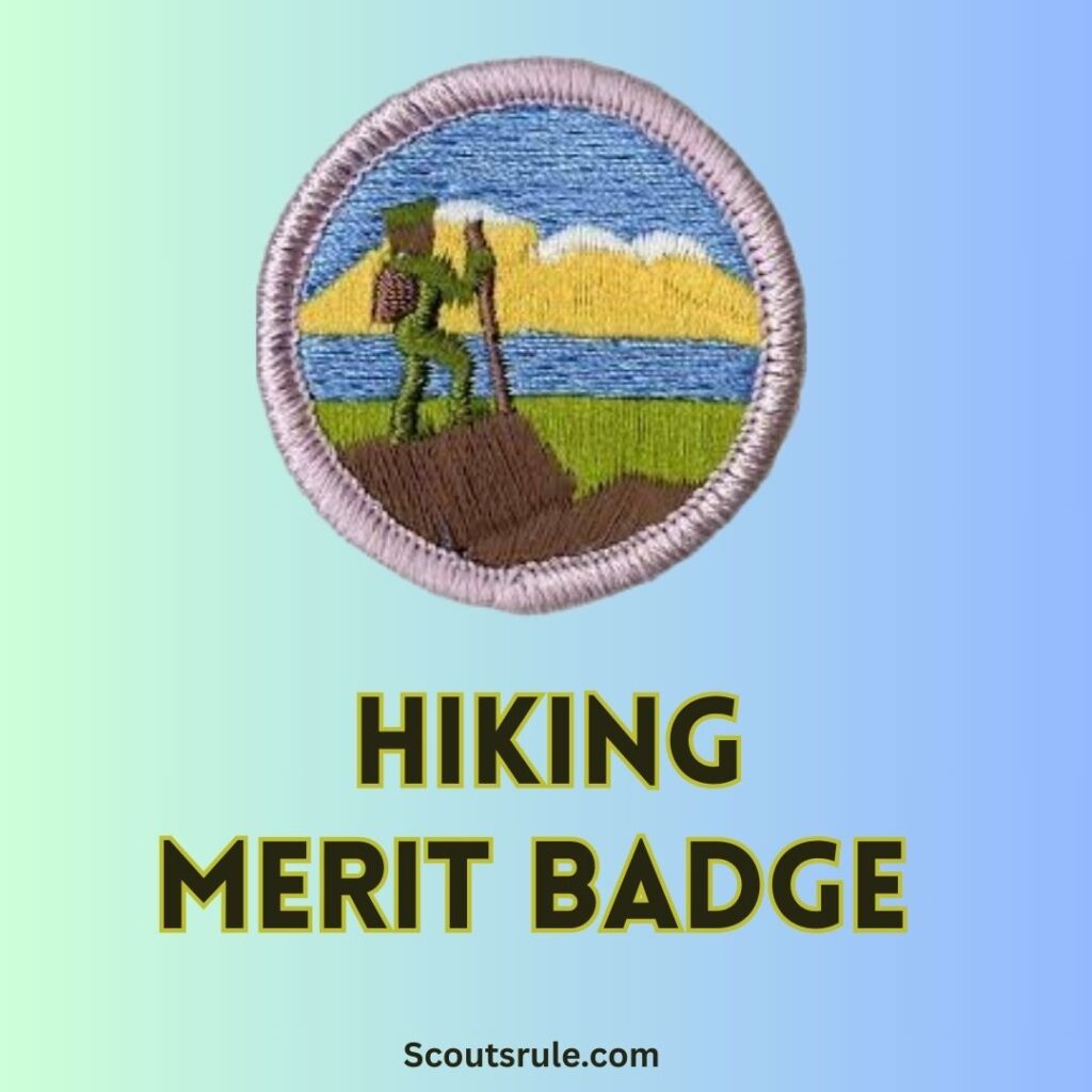 Citizenship in Society Merit Badge Guide - Scouts Rule