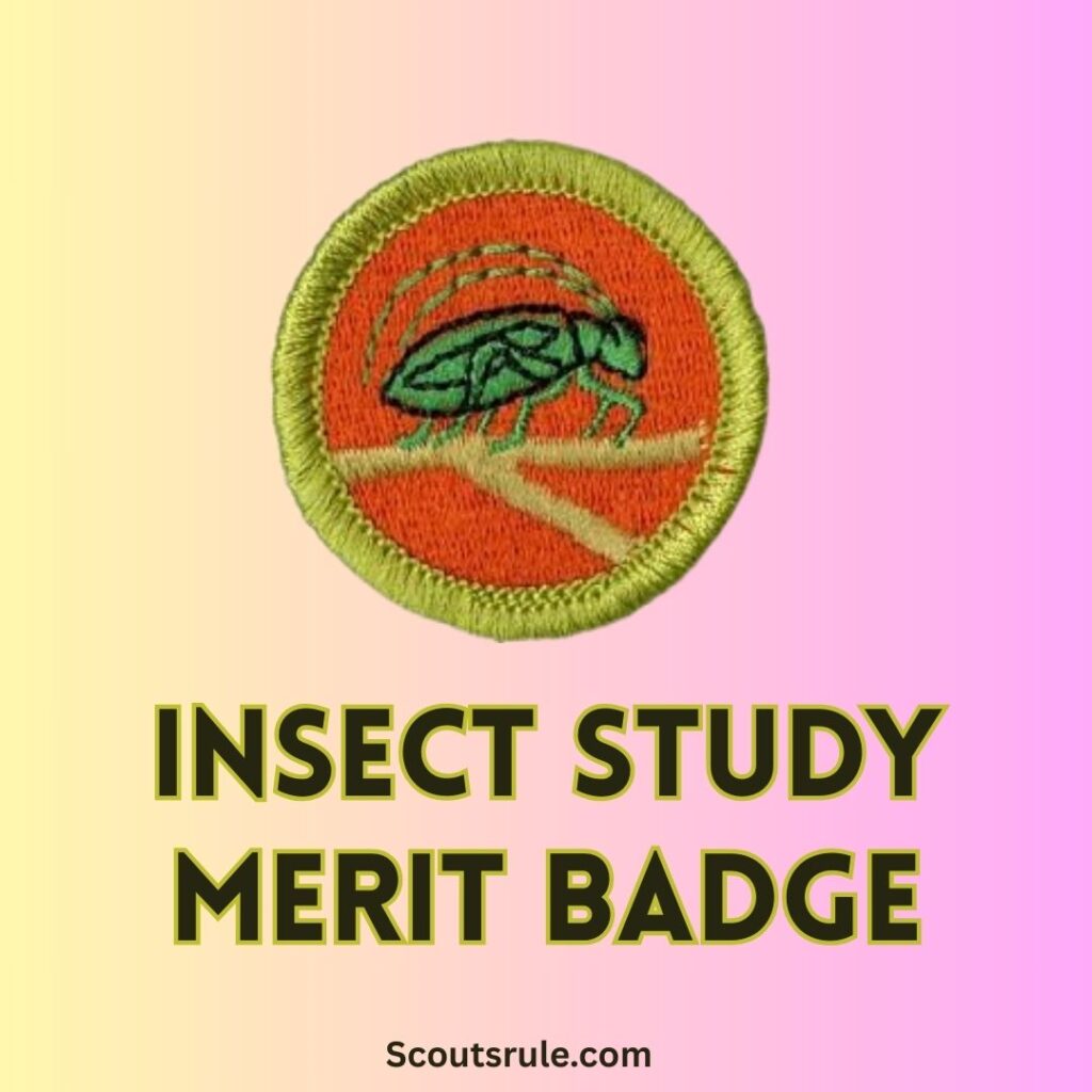Programming Merit Badge Guide - Scouts Rule