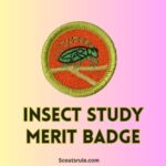 Animation Merit Badge Guide - Scouts Rule