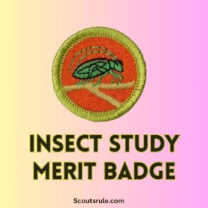 Programming Merit Badge Guide - Scouts Rule