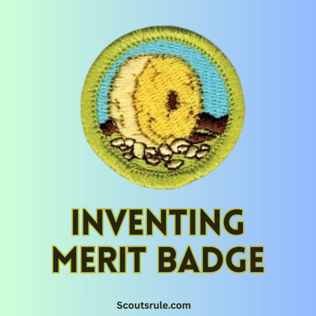 Coin Collecting Merit Badge Guide 2025 - Scouts Rule