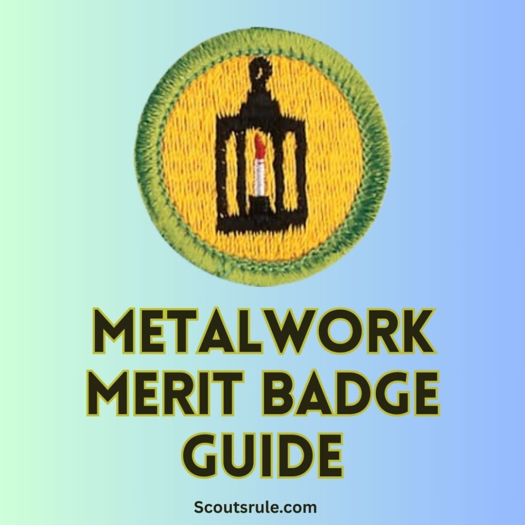 Collections Merit Badge Guide - Scouts Rule