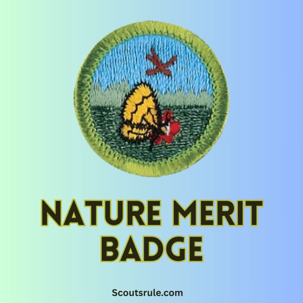 Basketry Merit Badge Guide - Scouts Rule
