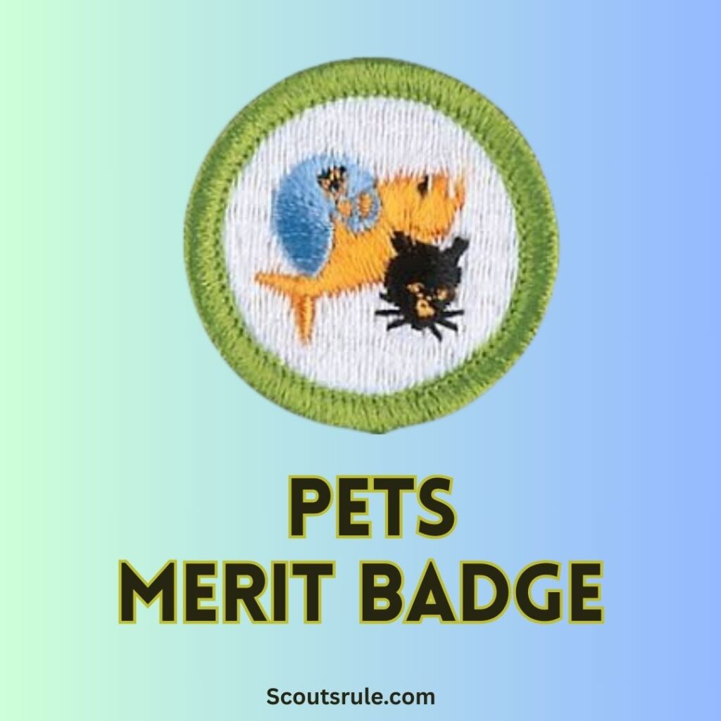 Engineering Merit Badge Guide - Scouts Rule