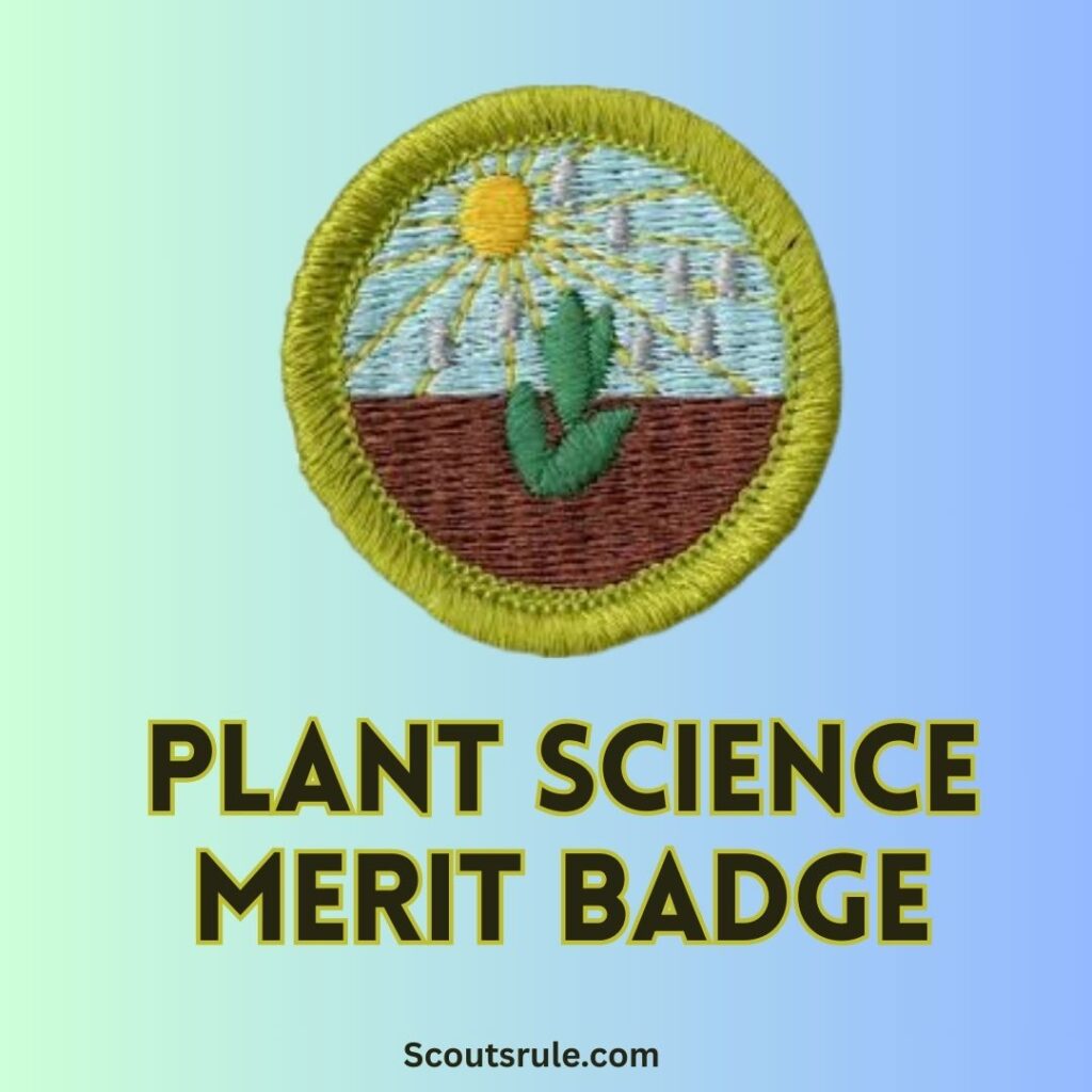 Environmental Science Merit Badge Guide - Scouts Rule