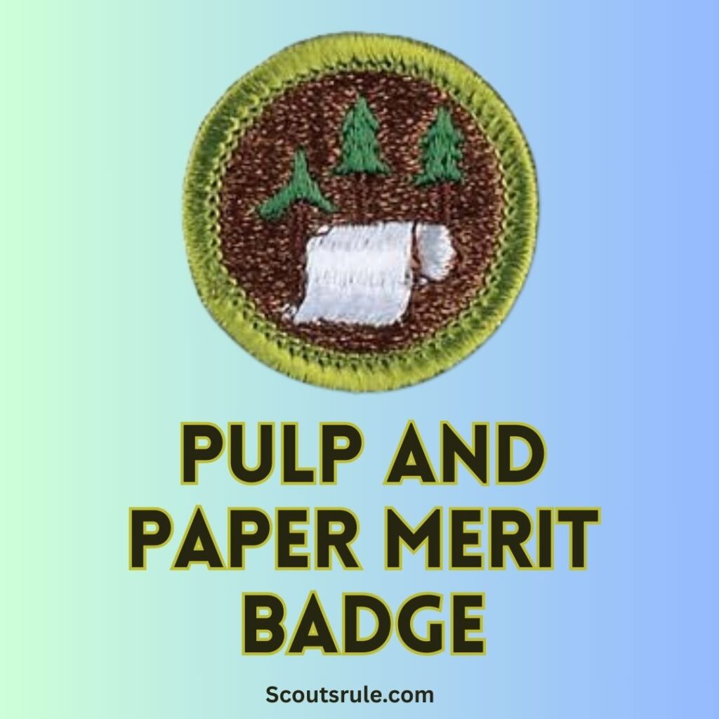 Personal Management Merit Badge Guide - Scouts Rule