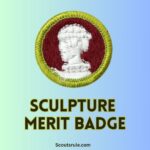 Disabilities Awareness Merit Badge Guide - Scouts Rule