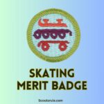 Programming Merit Badge Guide - Scouts Rule