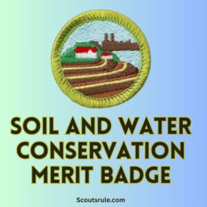 Wilderness Survival Merit Badge Guide - Scouts Rule