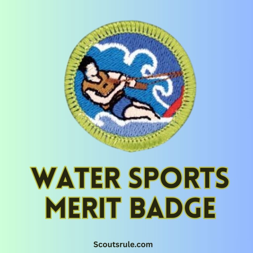 Collections Merit Badge Guide - Scouts Rule