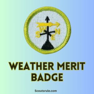 Programming Merit Badge Guide - Scouts Rule