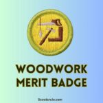 Engineering Merit Badge Guide - Scouts Rule